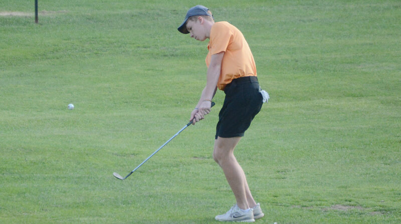 Tiger golfers place second in home Big 10 triangular | News, Sports ...